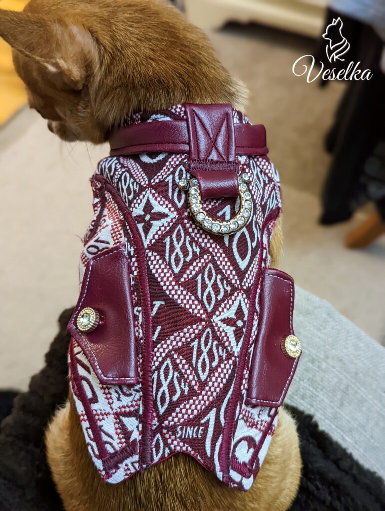 Luxury Red Dog Harness – Designer Dog Clothes – Veselka Canine Couture