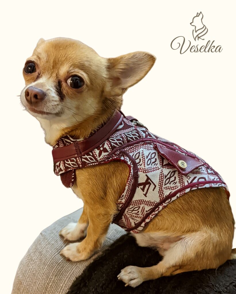 Luxury Red Dog Harness – Designer Dog Clothes – Veselka Canine Couture