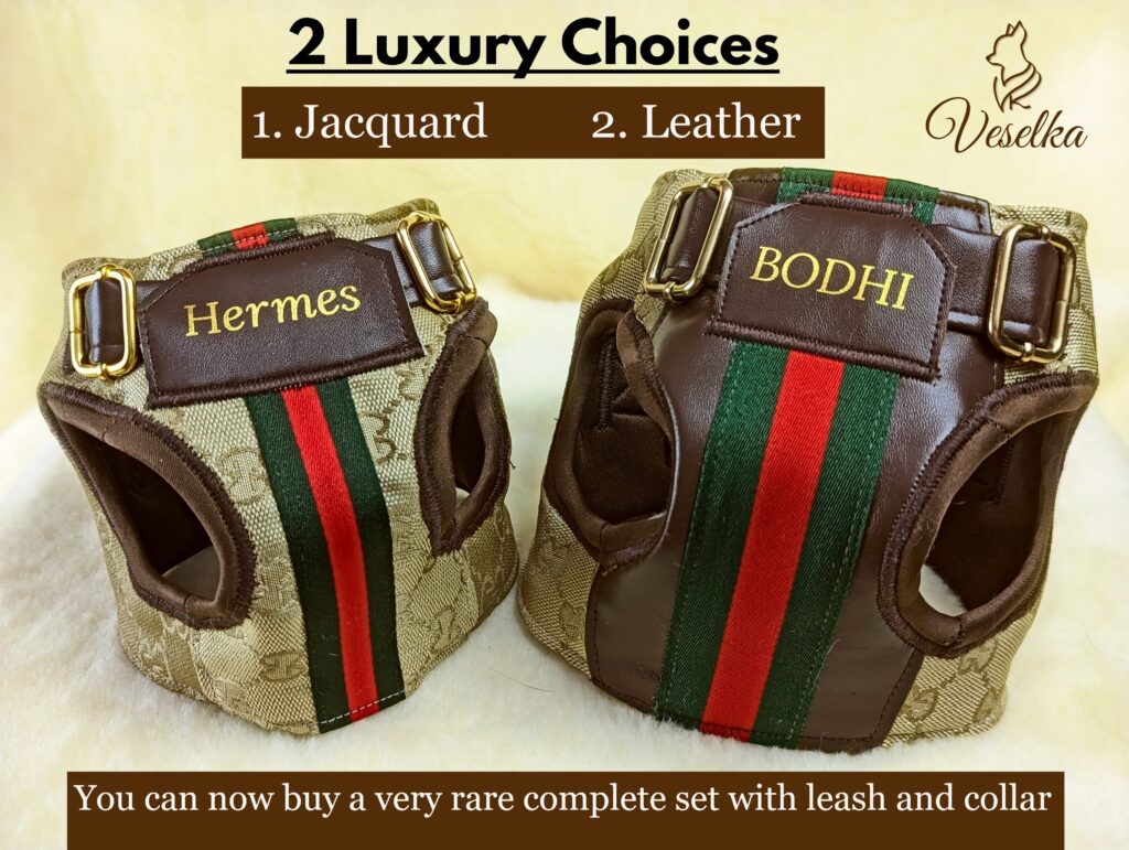 Designer Brown Leather Dog Harness & Optional Leash and Collar ...
