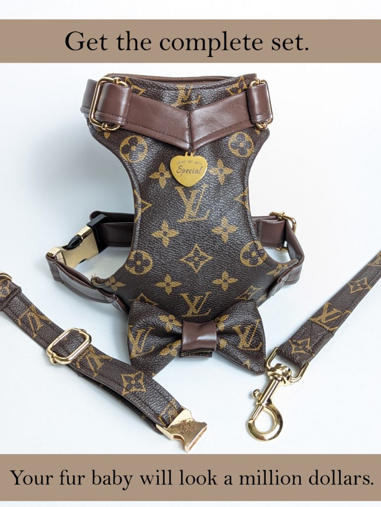Designer Brown Leather Dog Harness & Optional Leash – Collar – XS TO M ...