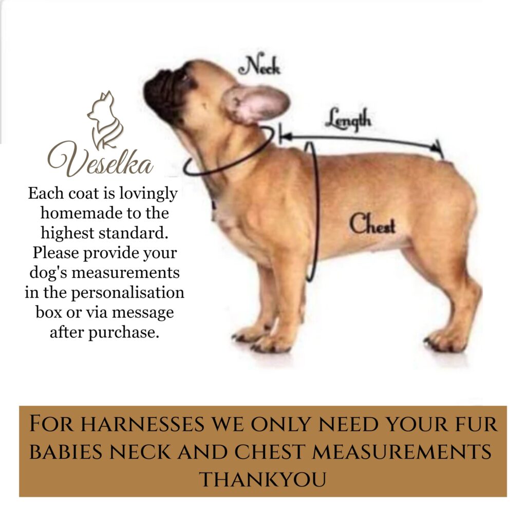 Luxury Veselka Harness & Optional Matching Leash, collar and Treat ...