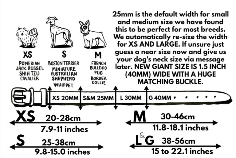 A-Z Dog Breed Neck Sizes – Find The Collar Size For Your Dog – ALL ...